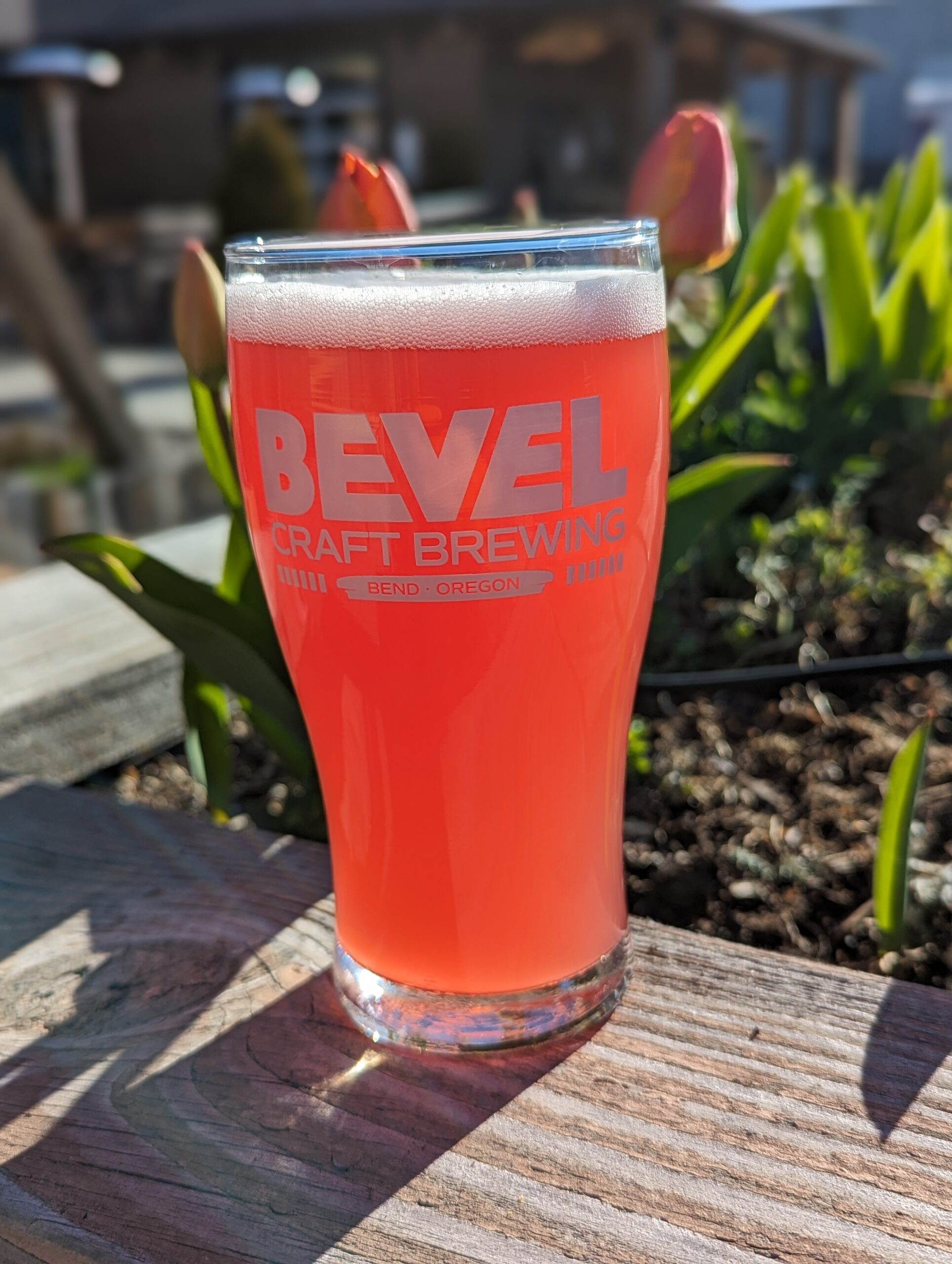 Current Menu - Bevel Craft Brewing | Taproom/Brewery