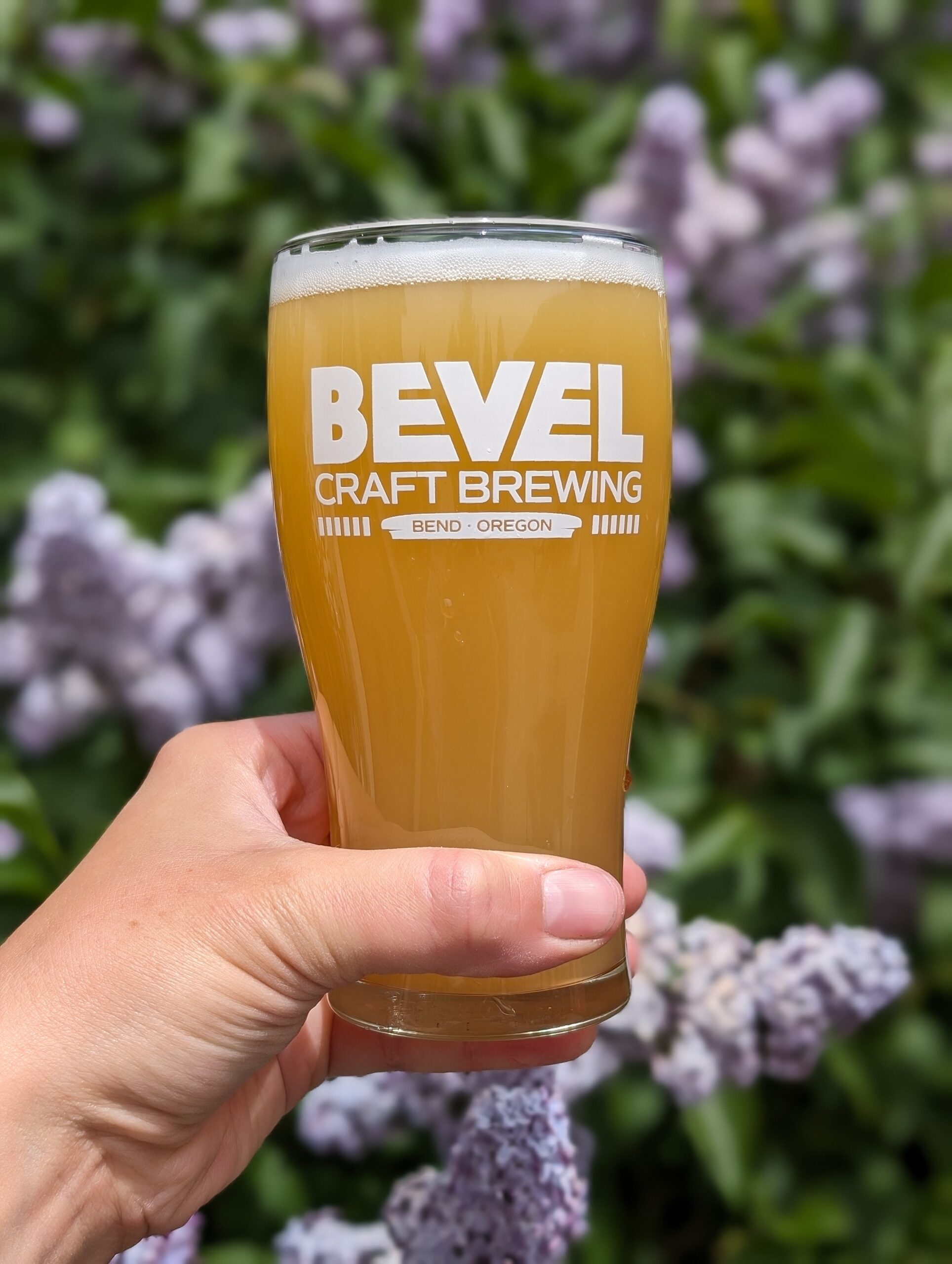 Current Menu - Bevel Craft Brewing | Taproom/Brewery