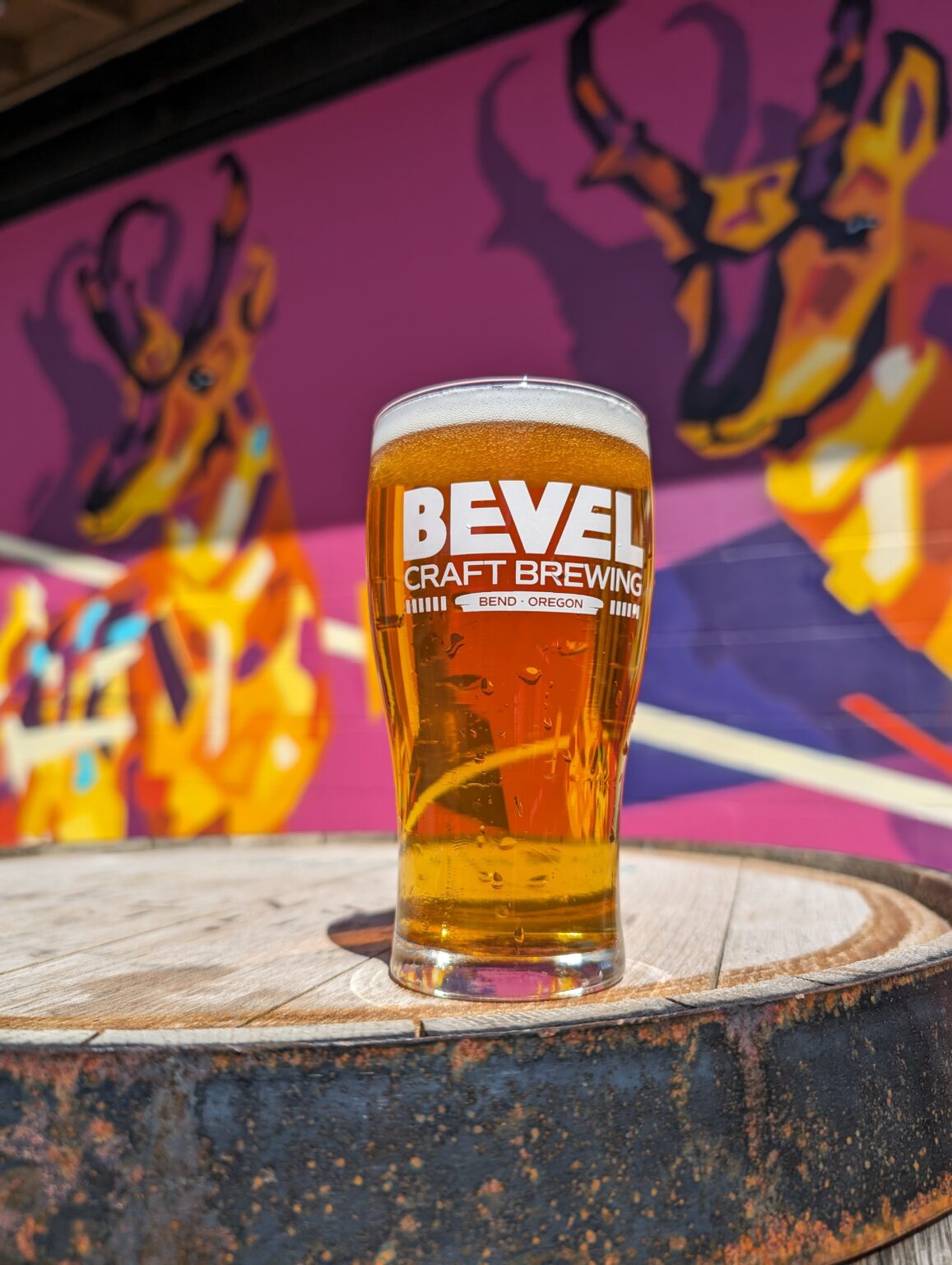 Current Menu - Bevel Craft Brewing | Taproom/Brewery