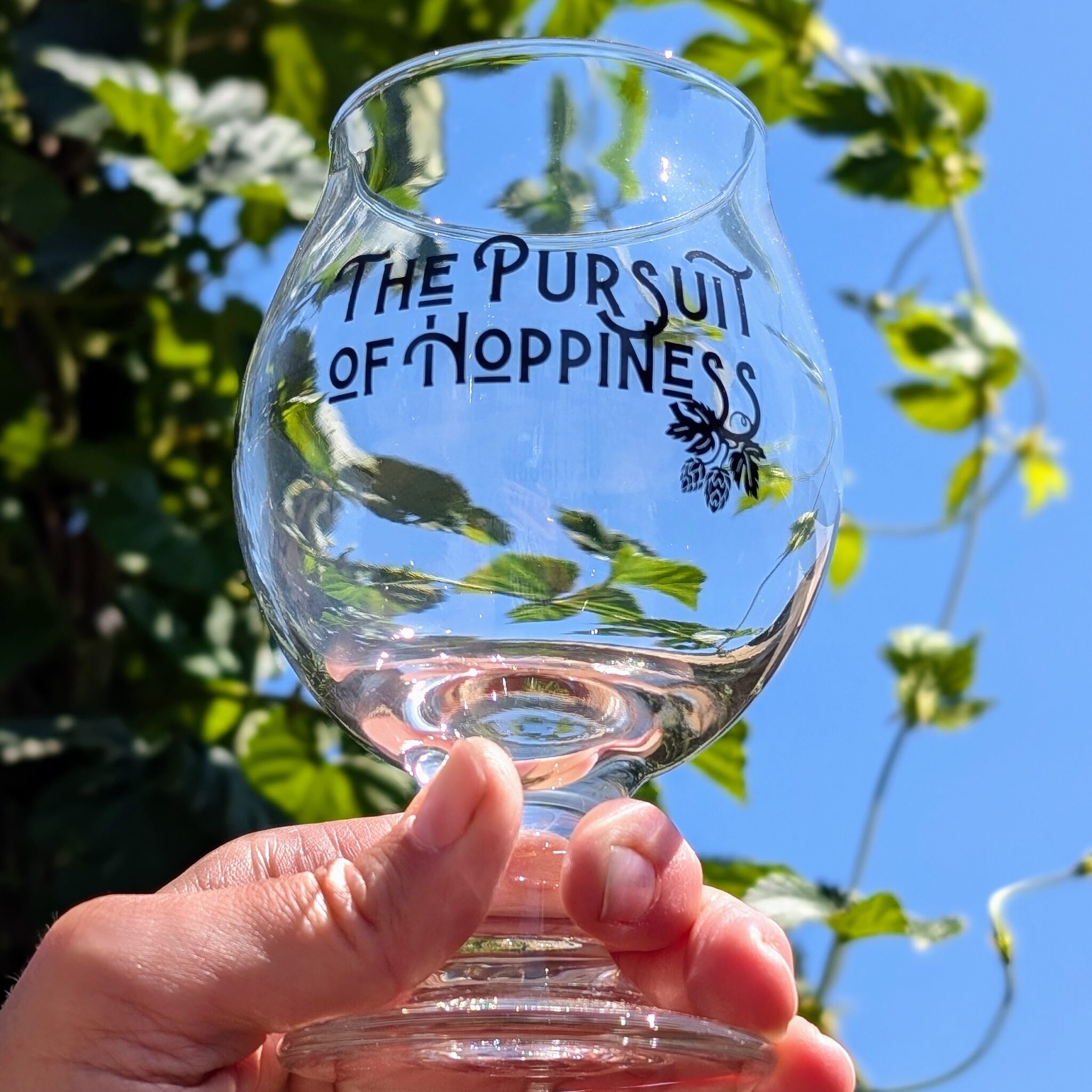 The Pursuit of Hoppiness - Bevel Craft Brewing