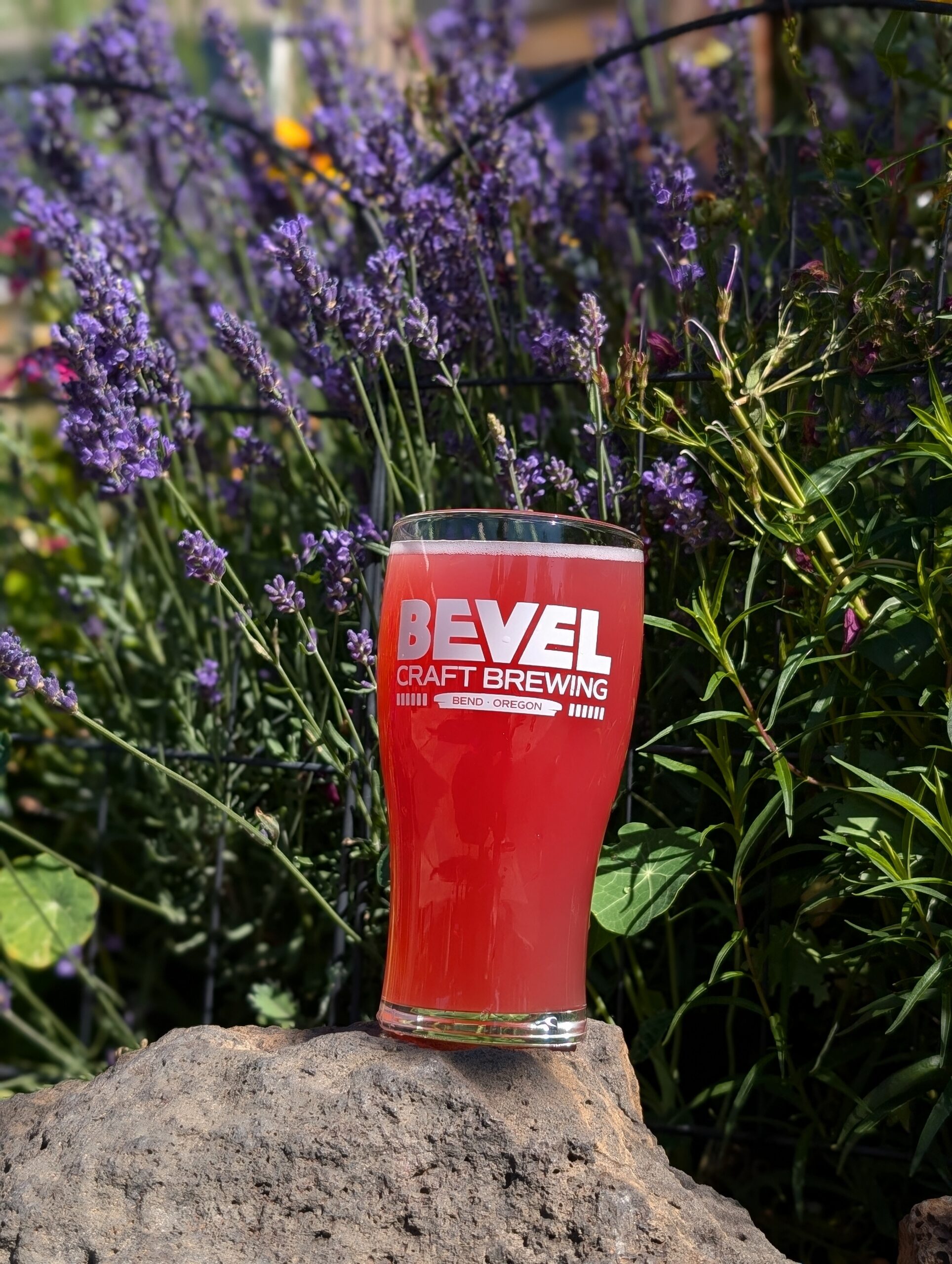 Current Menu - Bevel Craft Brewing | Taproom/Brewery