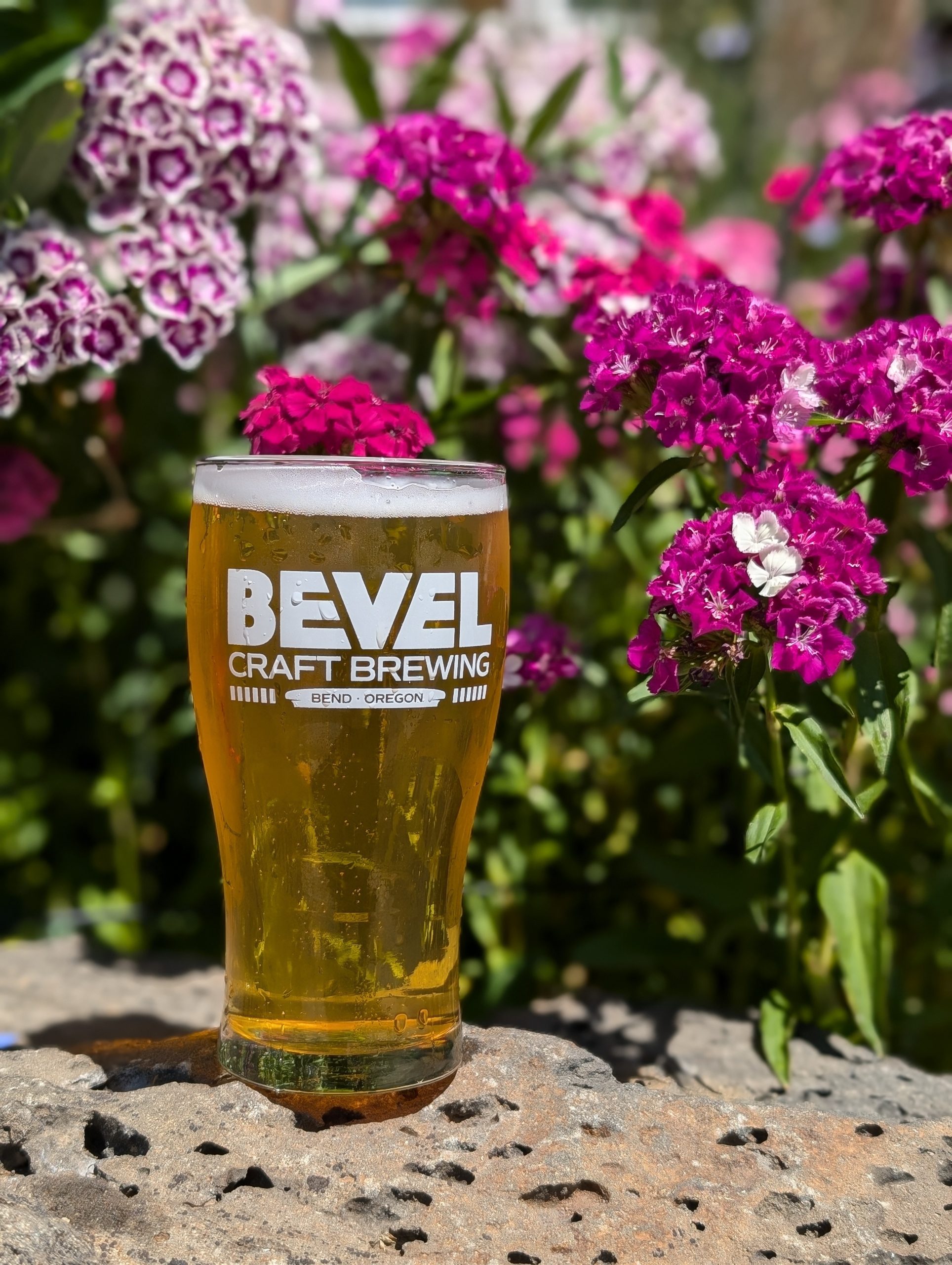 Current Menu - Bevel Craft Brewing | Taproom/Brewery